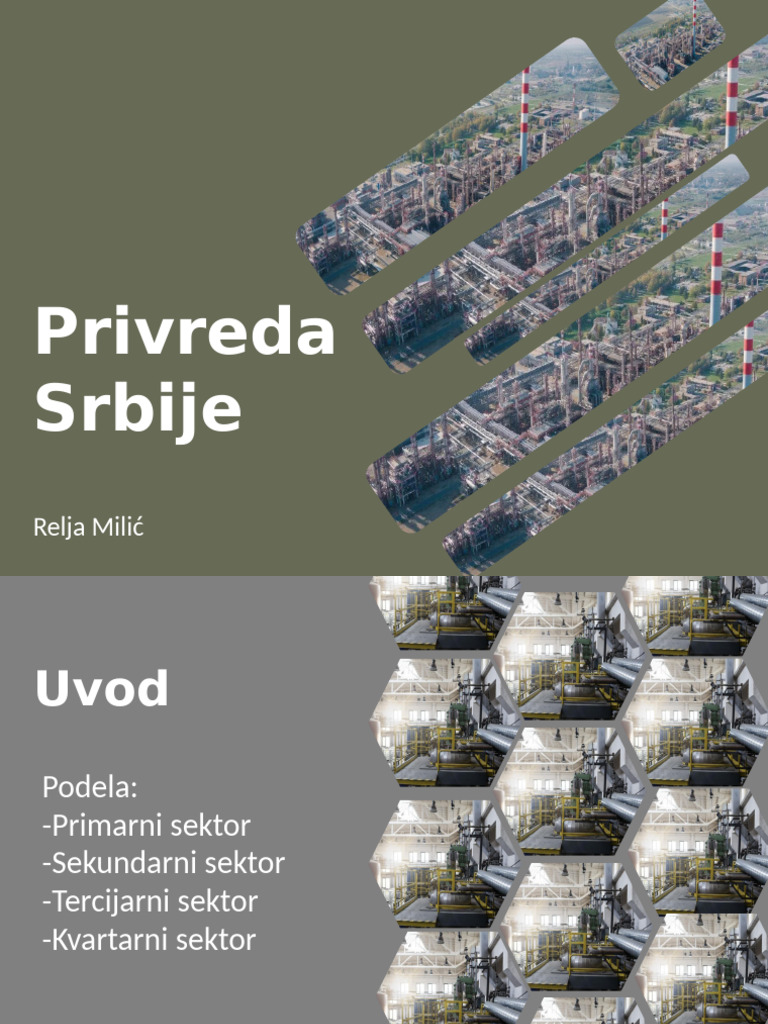 Privreda Srbije | PDF