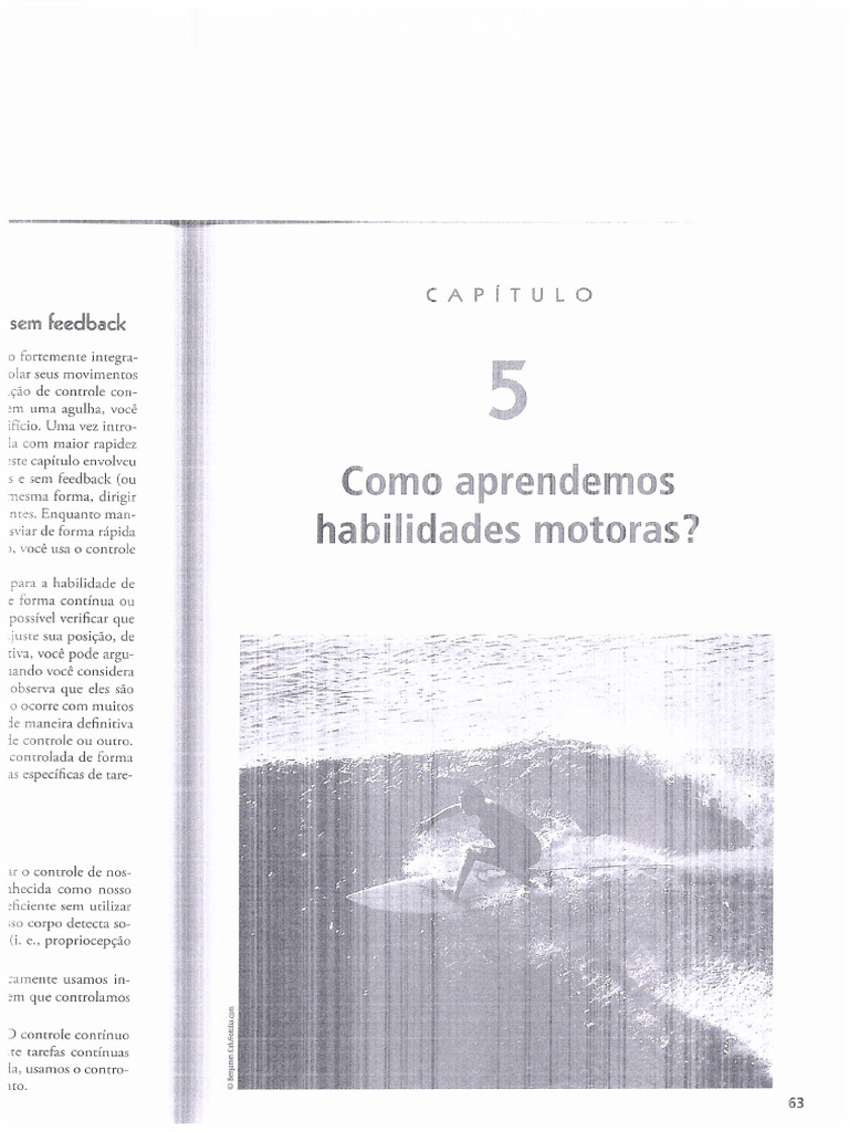 Cap_05_Teoria_Esquema_Fairbrother | PDF