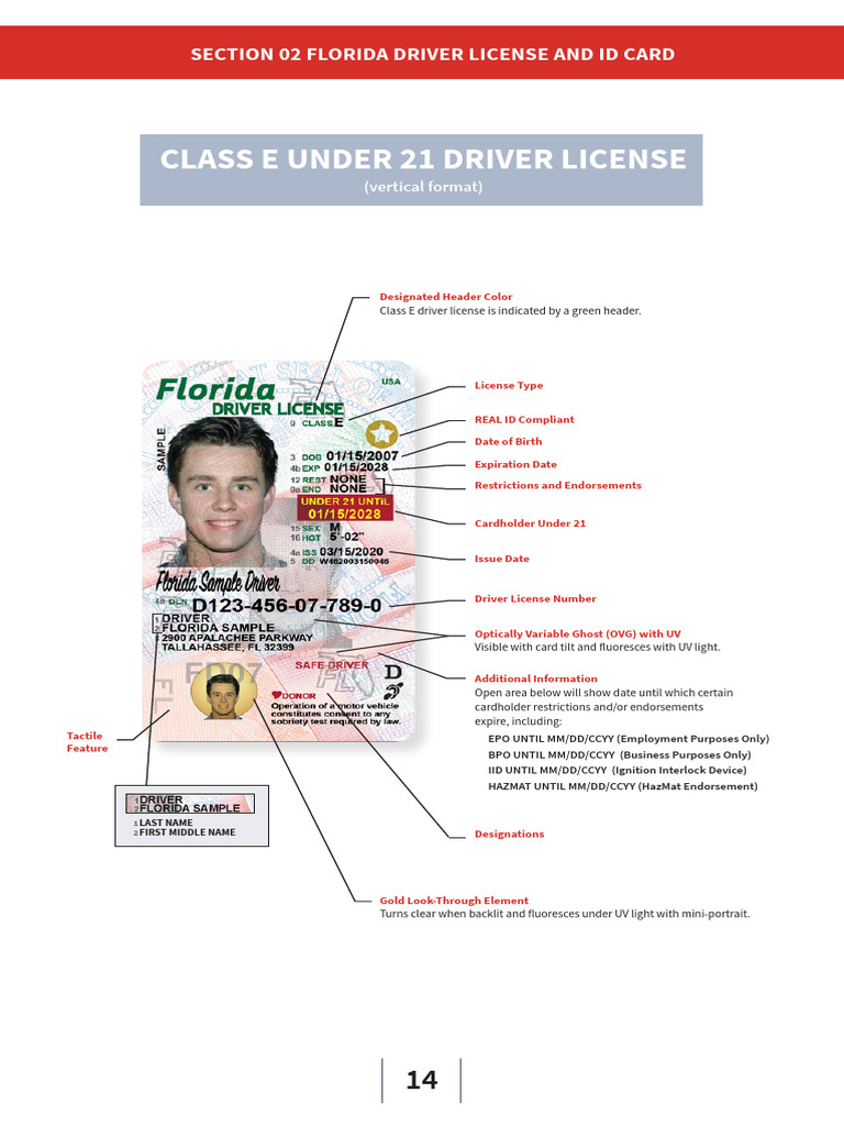 FLHSMV NEWDL RETAILGUIDE 2020 V191.indd | PDF