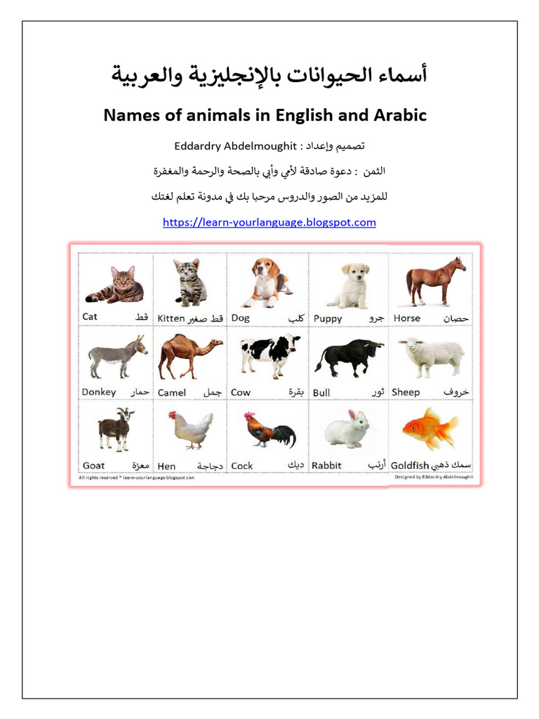 Names of Animals in English and Arabic | PDF