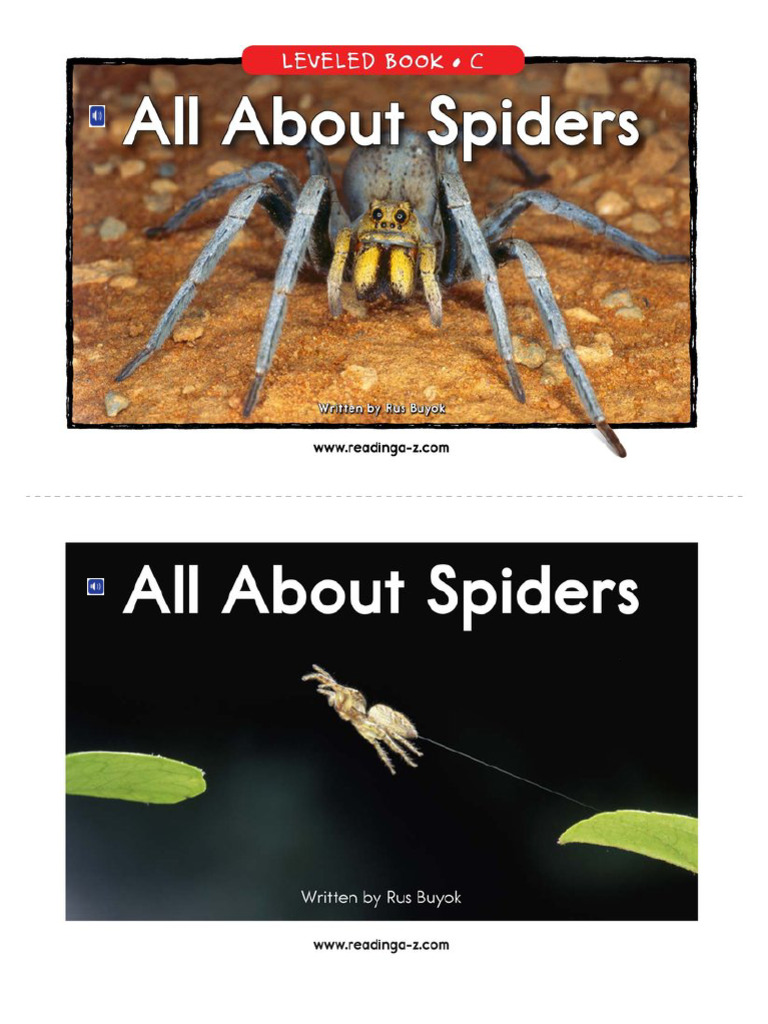 All About Spiders | PDF