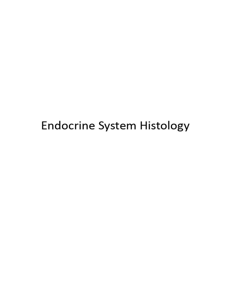 Diagrammatic Histology of Endocrine System | PDF