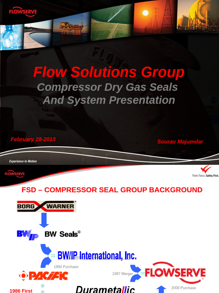 Compressor Dry Gas Seal Systems Overview | PDF | Gases | Filtration