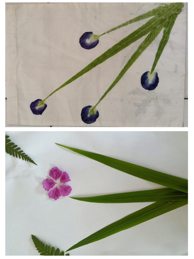 Contoh Desain Ecoprint | PDF