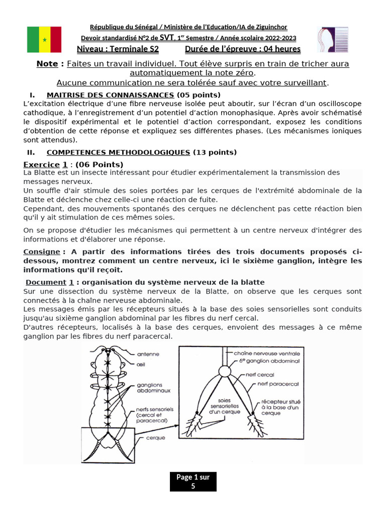 Epreuve de SVT Ts2 Devoir Standardise Janv 2023 | PDF | Neurone | Nerf