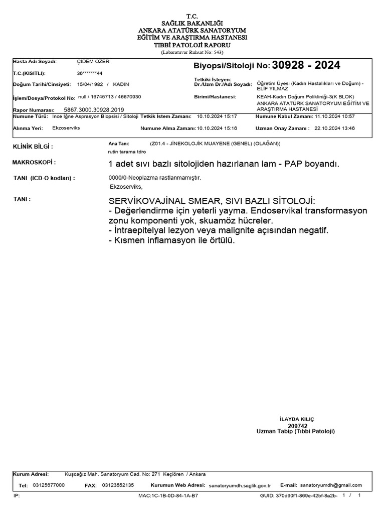 H380993816_20241022-142749 | PDF