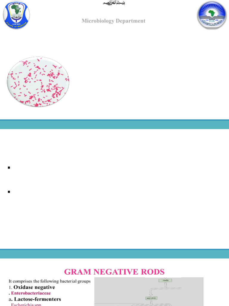 15 - Gram Negative Rods | PDF | Lipopolysaccharide | Gram Negative Bacteria