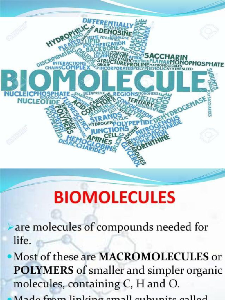 BIOMOLECULES | PDF