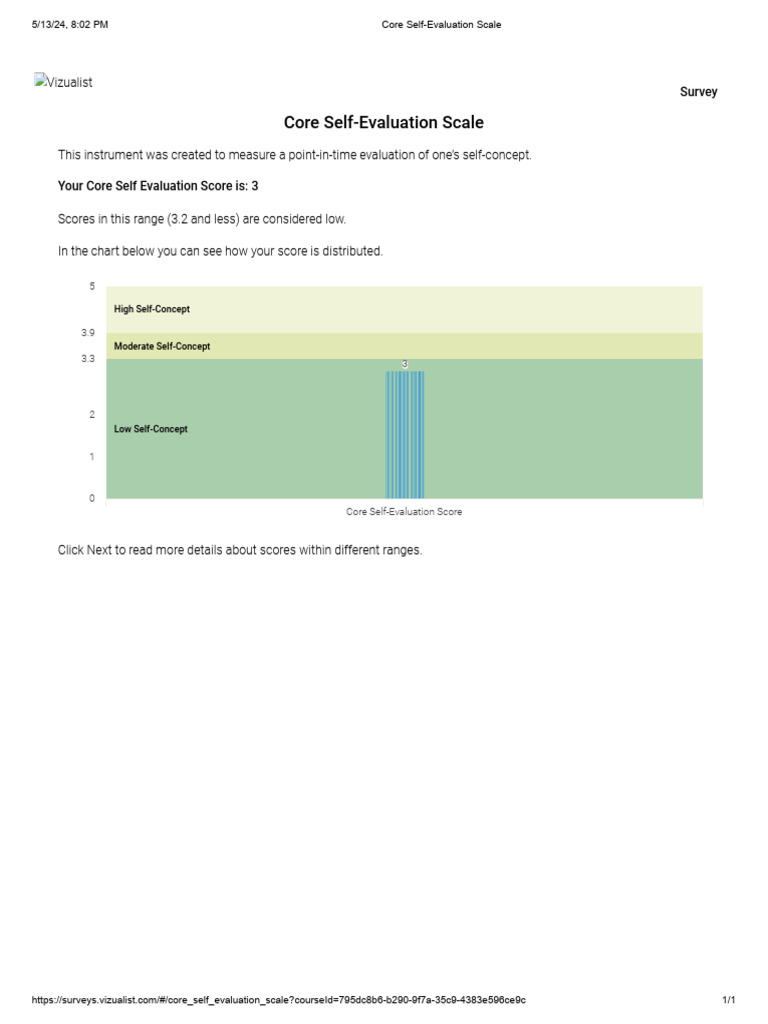 Self-Concept Evaluation Results | PDF