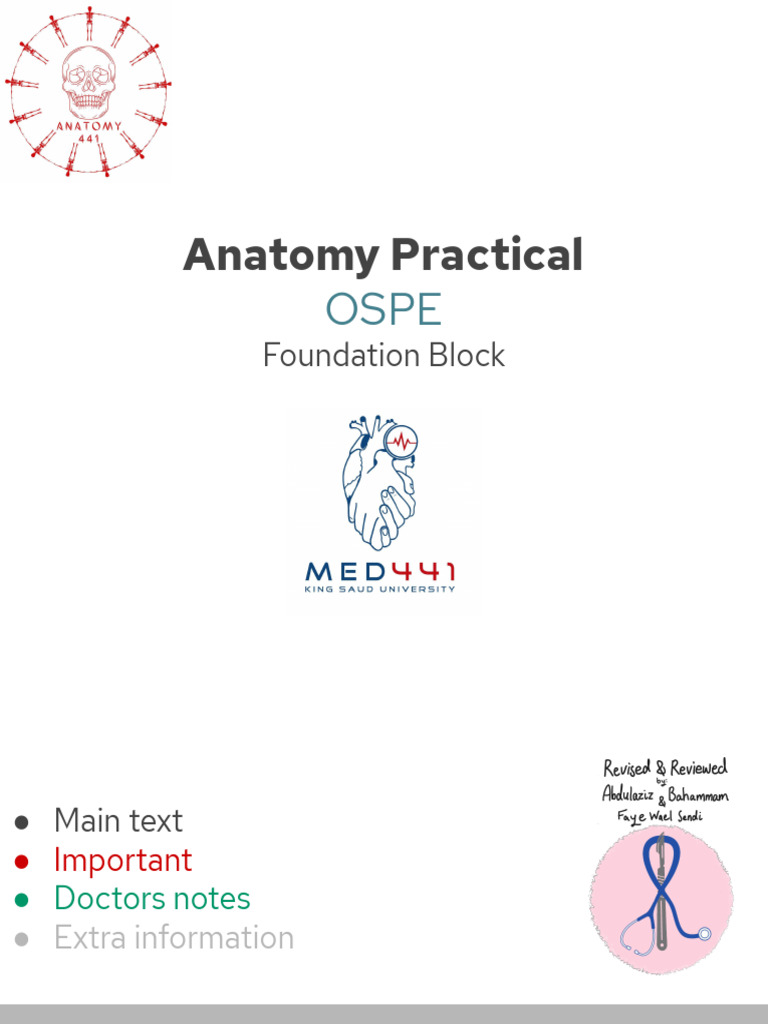 Anatomy Ospe Foundation | PDF | Spinal Cord | Cerebrum
