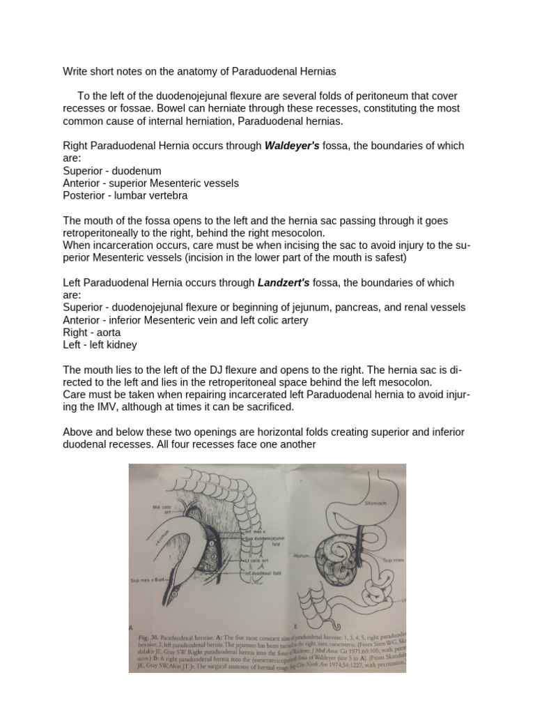 Anatomy of Paraduodenal Hernias Explained | PDF | Wellness