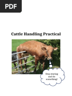 Livestock Judging Techniques Explained | PDF | Livestock | Domesticated ...
