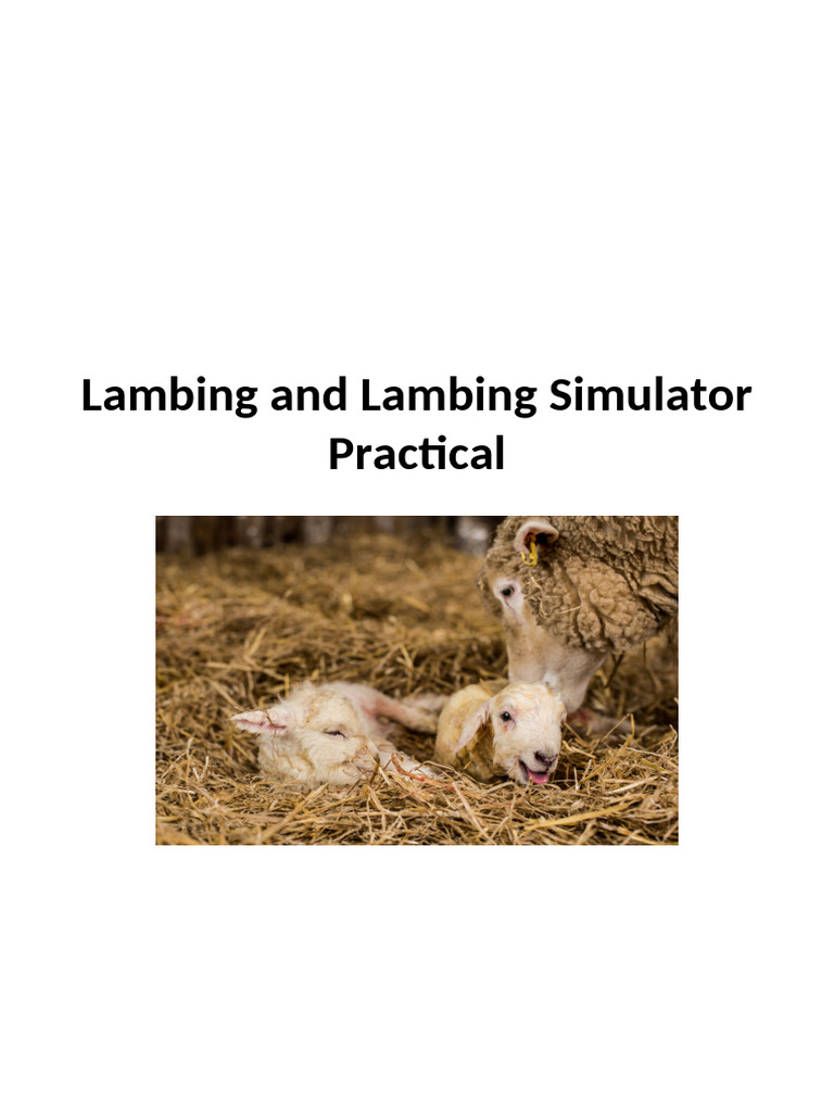Lambing and Lambing Simulator Practical | PDF | Sheep | Medical Specialties