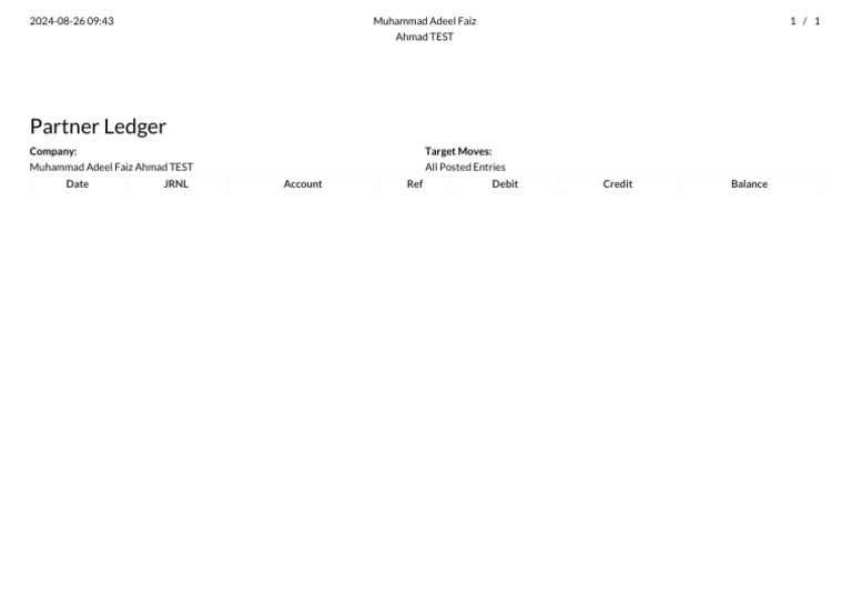 Partner Ledger | PDF | Business | Finance & Money Management
