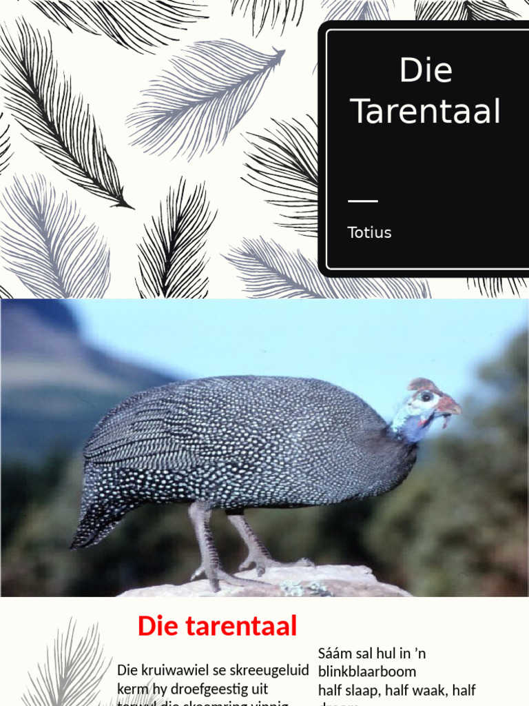 Die Tarentaal | PDF