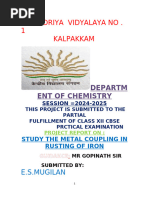 Chem 114 LAB Experiment 1 Rusting of Iron | PDF | Rust | Corrosion
