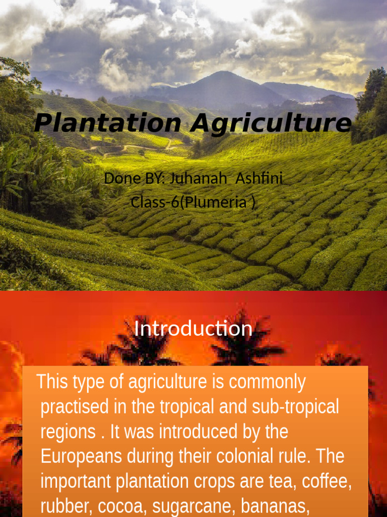 Plantation Agriculture | PDF | Technology & Engineering