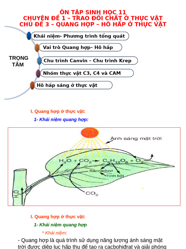 Chuyen de 1 Chu de 3 Quang Hop Va Ho Hap o Thuc Vat | PDF