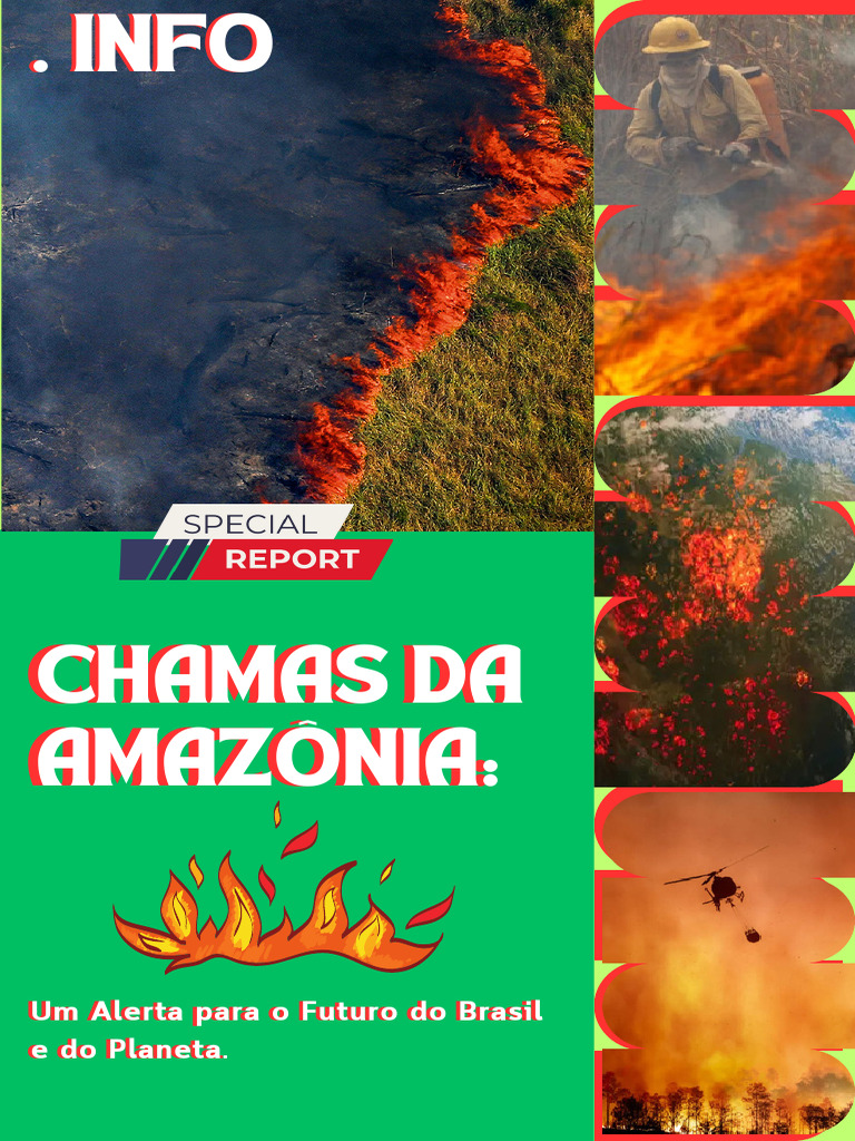 Queimadas Na Amazônia - 20241024 - 213509 - 0000 | PDF | Floresta Amazônica | Aquecimento global ...