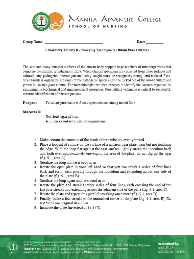 Lab-Activity-8-Streaking Technique 1 | PDF | Organisms | Laboratory ...