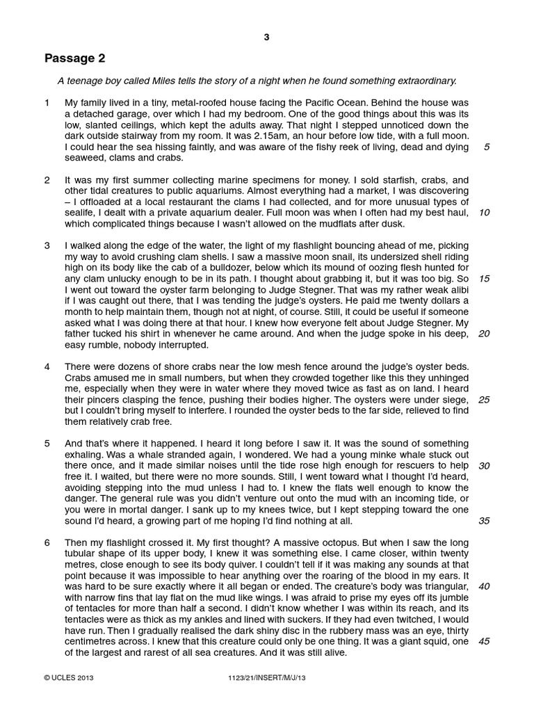 MJ13 Passage 2 Teenage boy miles | PDF