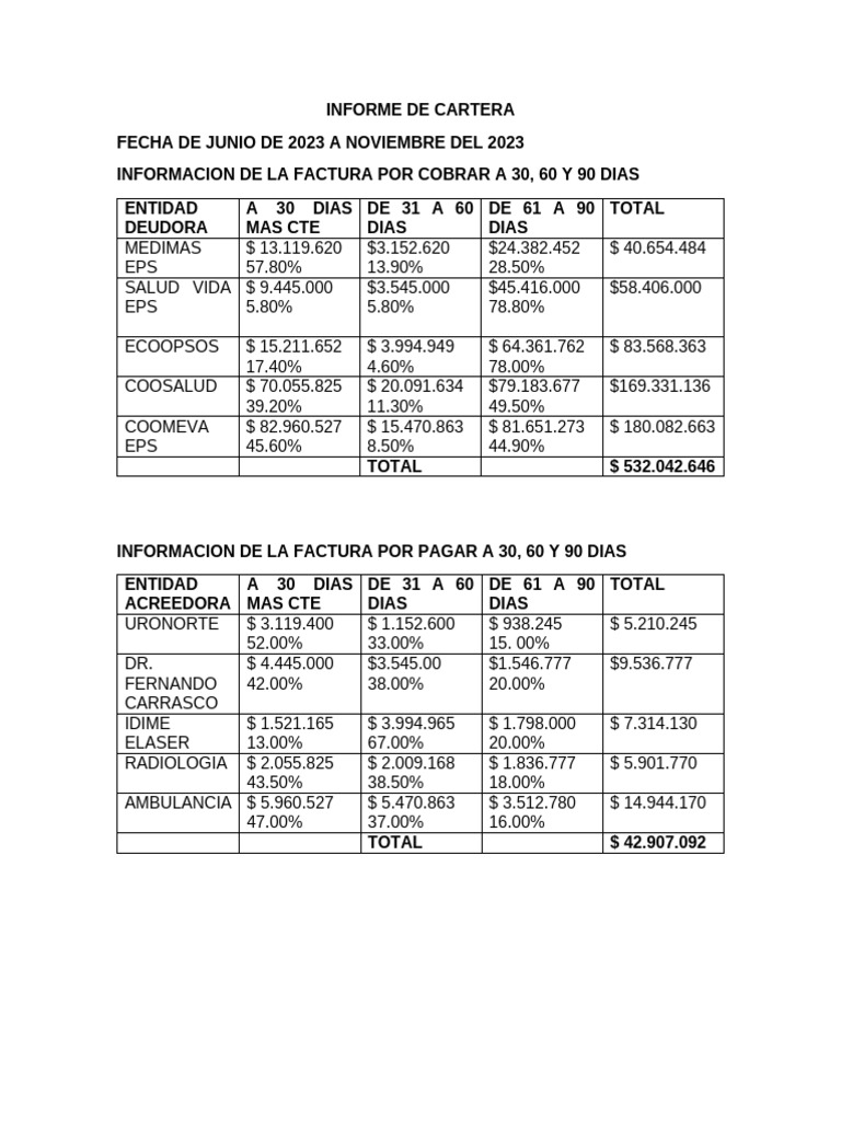 INFORME DE CARTERA | PDF