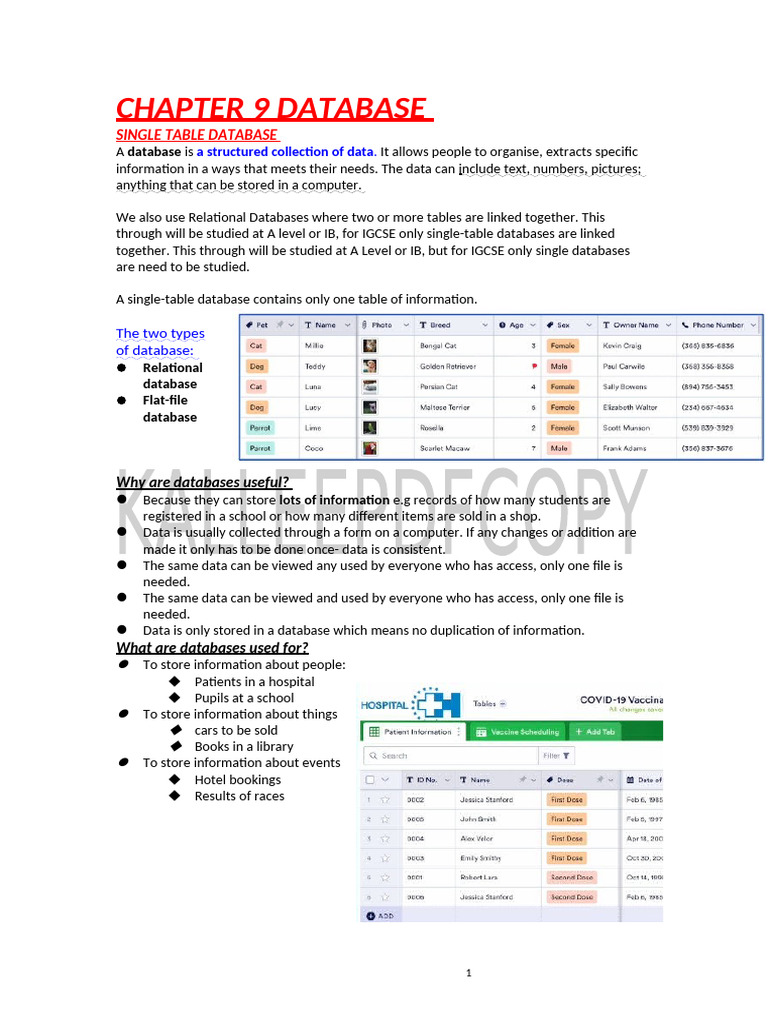 Grade 11 Chapter 9 Computer Science | PDF | Databases | Table (Database)