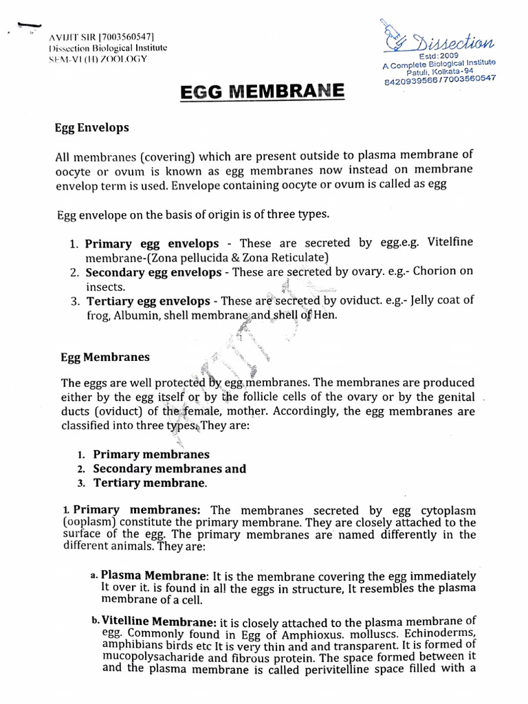egg membrane | PDF | Egg | Cell Membrane