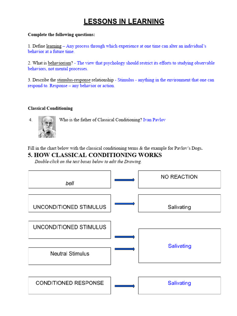 Understanding Classical and Operant Conditioning | PDF | Classical Conditioning | Reinforcement