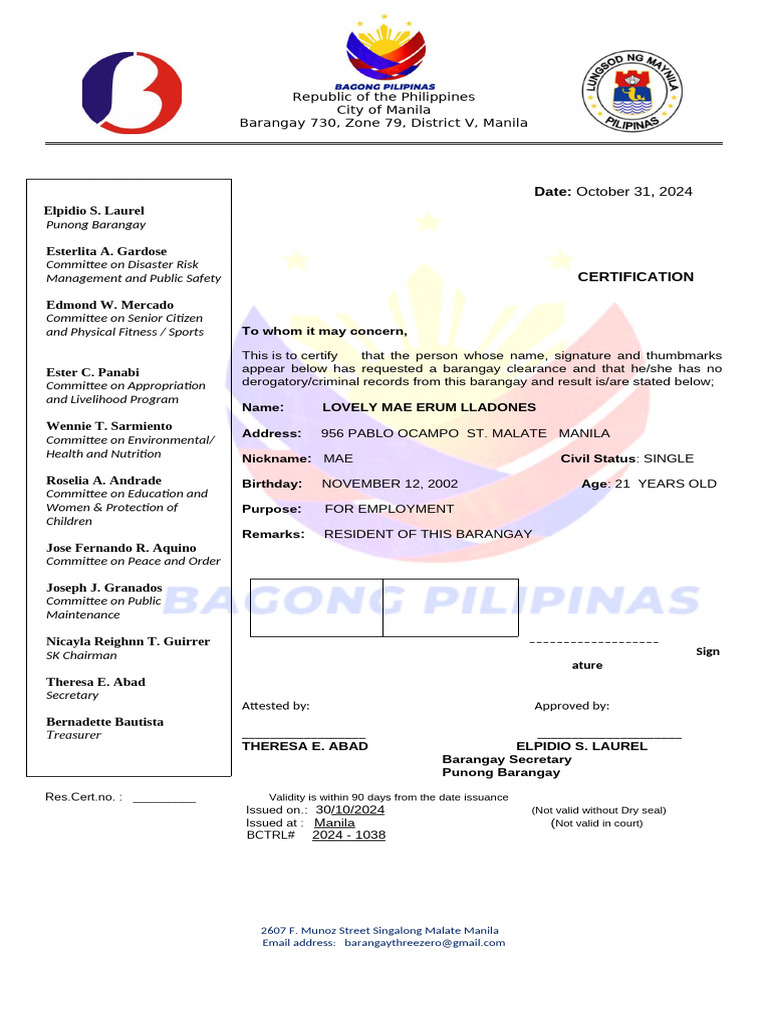 Brgy Clearance Updated 2024 | PDF | Philippines
