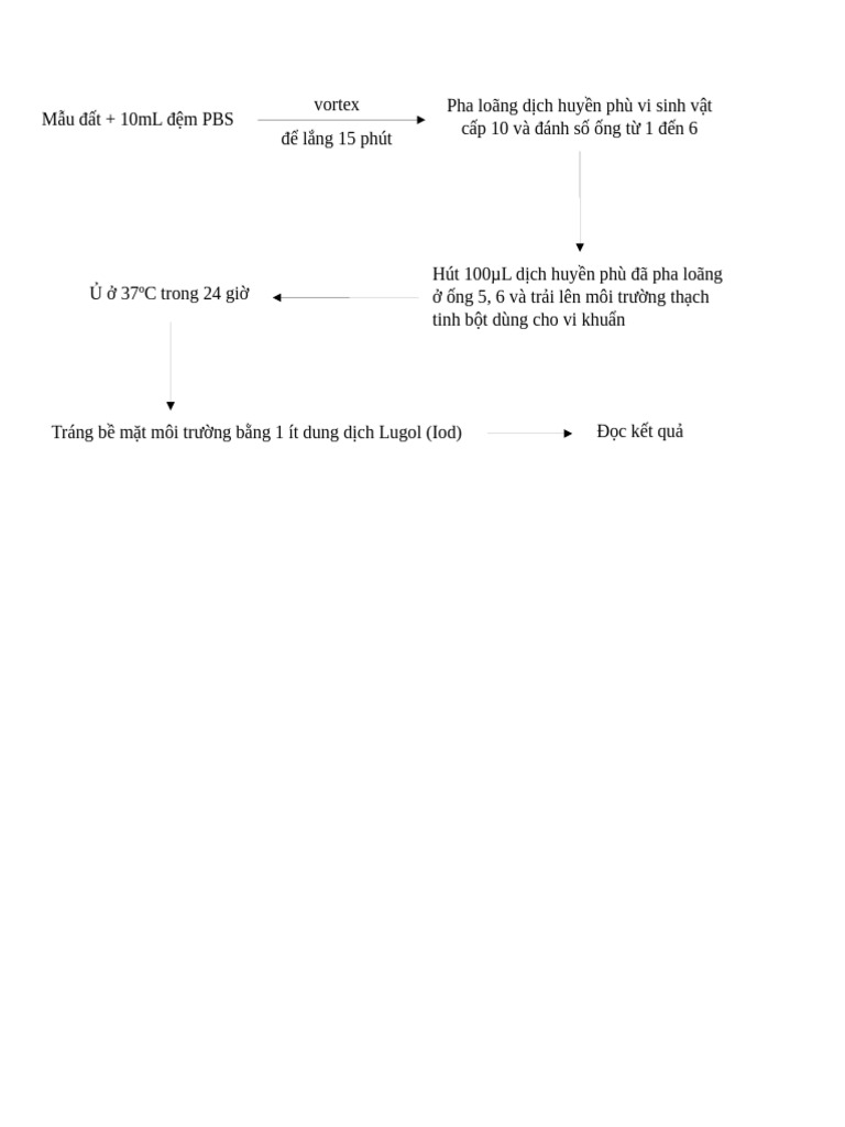 Quy Trình Amylase Ngoại Bào | PDF