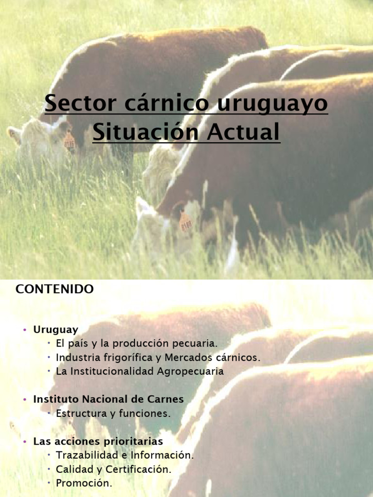 pi_modulo_introductorio_web | PDF | Carne | Auditoría pi_modulo_introductorio_web | PDF | Carne | Auditoría