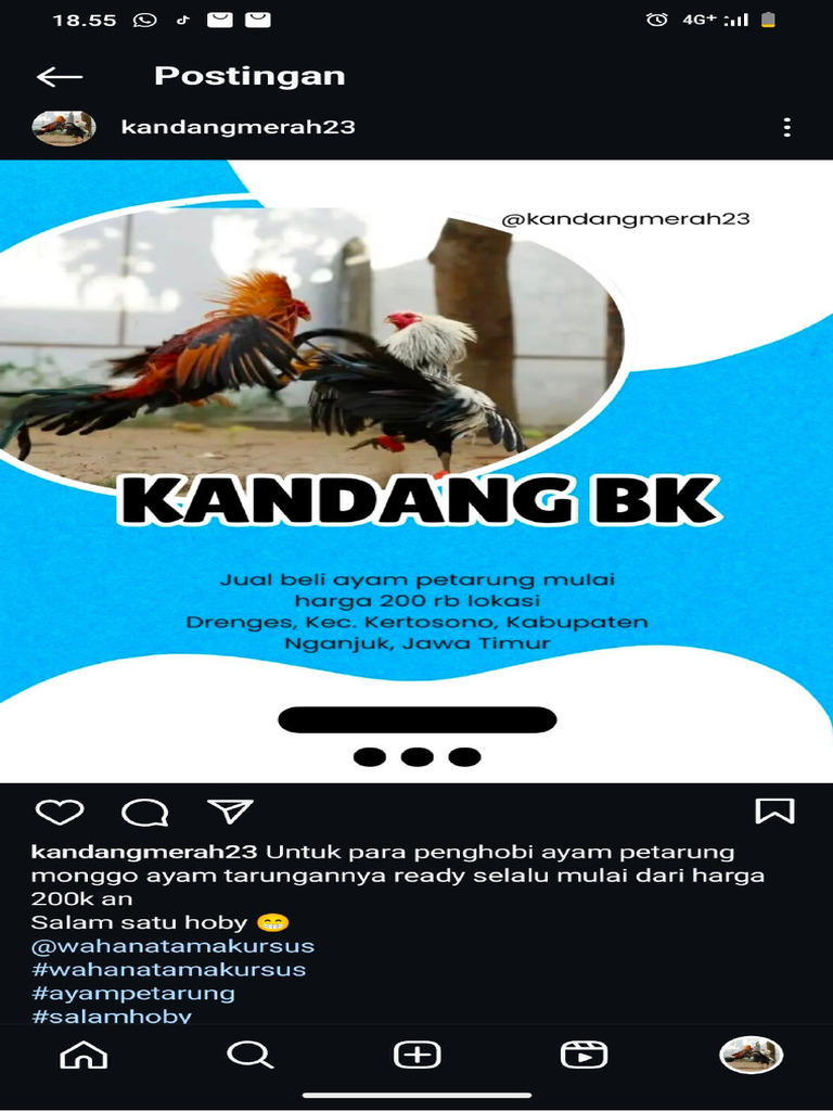 Ayam | PDF