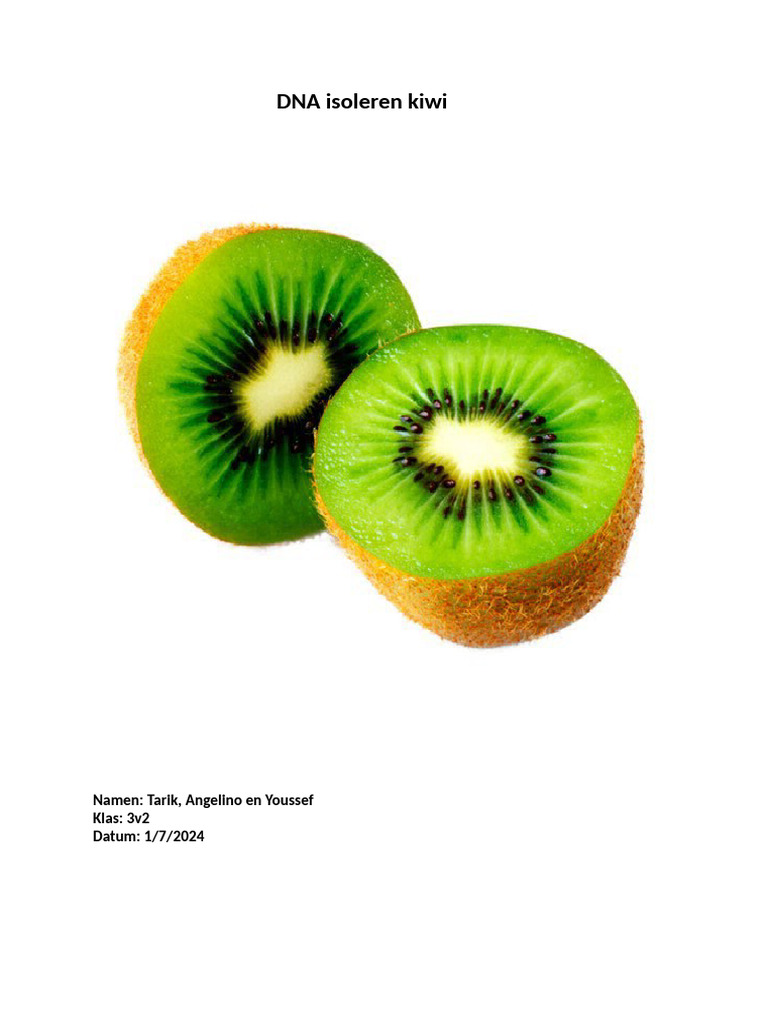 Kiwi | PDF