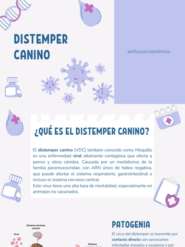 Distemper Canino: Síntomas y Tratamiento | PDF | Virus | Sistema inmune