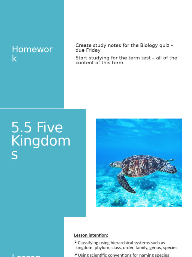 5.5 Five Kingdoms | PDF