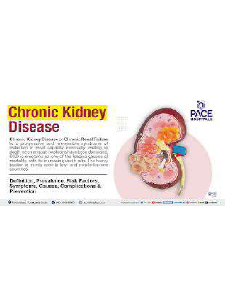 Chronic Kidney | PDF