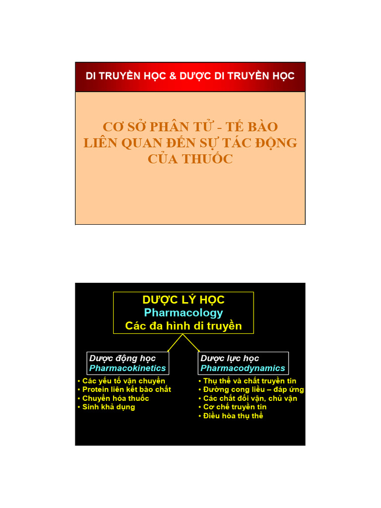 5 - Co So Phan Tu Lien Quan Den Tac Dong Cua Thuoc | PDF