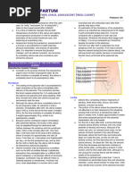 Understanding Normal Puerperium | PDF | Uterus | Childbirth
