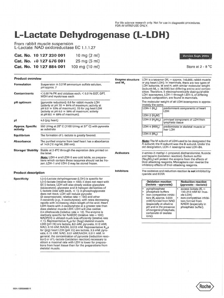 LDH Information Sheet | PDF