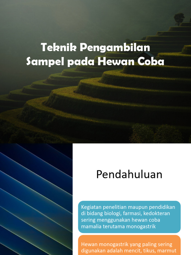 Teknik Pengambilan Sampel Pada Hewan Coba | PDF