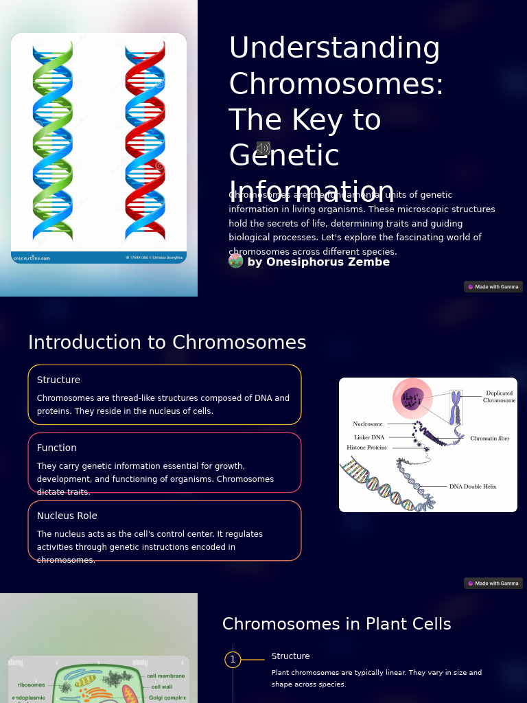 Understanding Chromosomes The Key To Genetic Tion | PDF | Chromosome ...