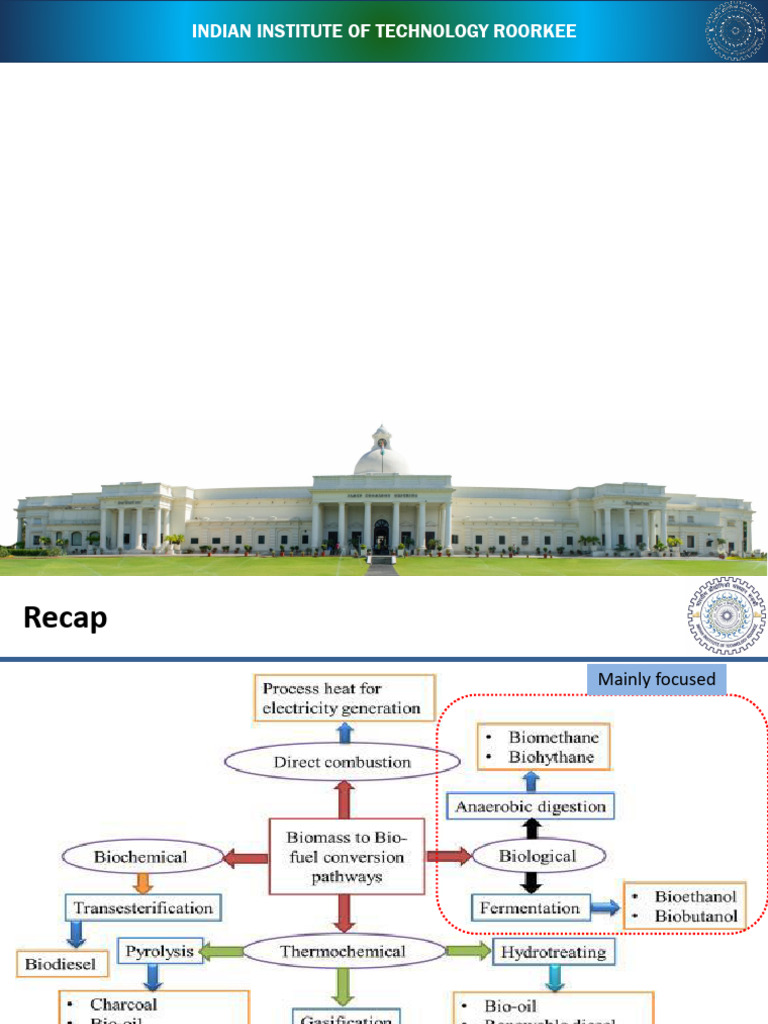 Biological Conversion Routes of Biomass | PDF | Biofuel | Anaerobic ...