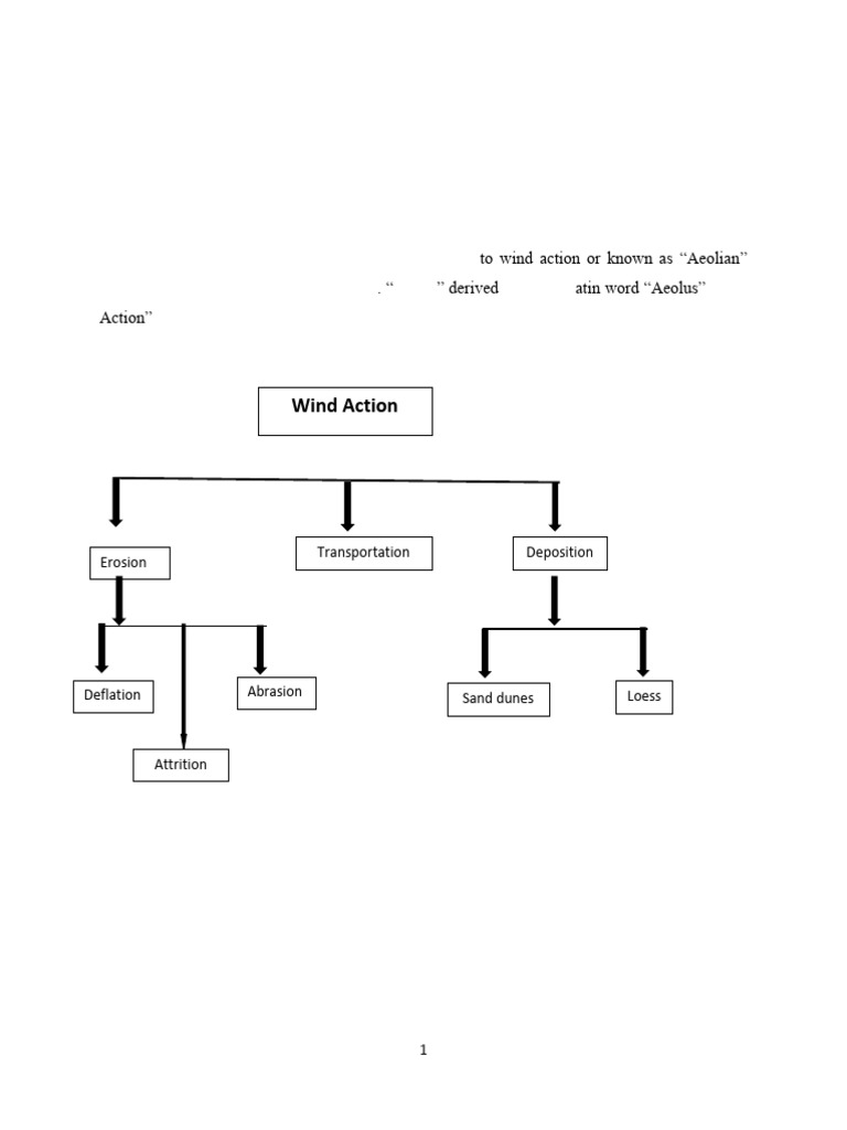 Wind Action | PDF | Dune | Erosion
