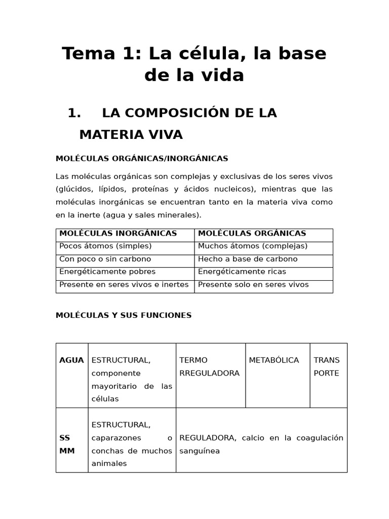 Composición y Función Celular | PDF | Biología Celular) | Cromosoma