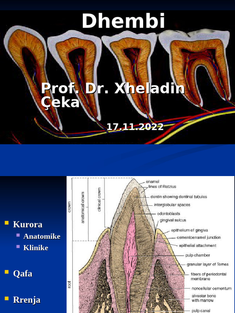 Dhembi 2022 | PDF