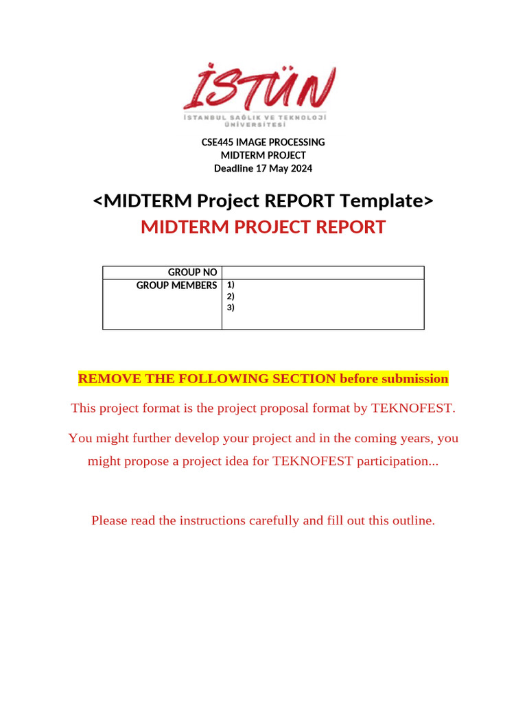 2024 MidtermProjectReport v2 | PDF | Algorithms