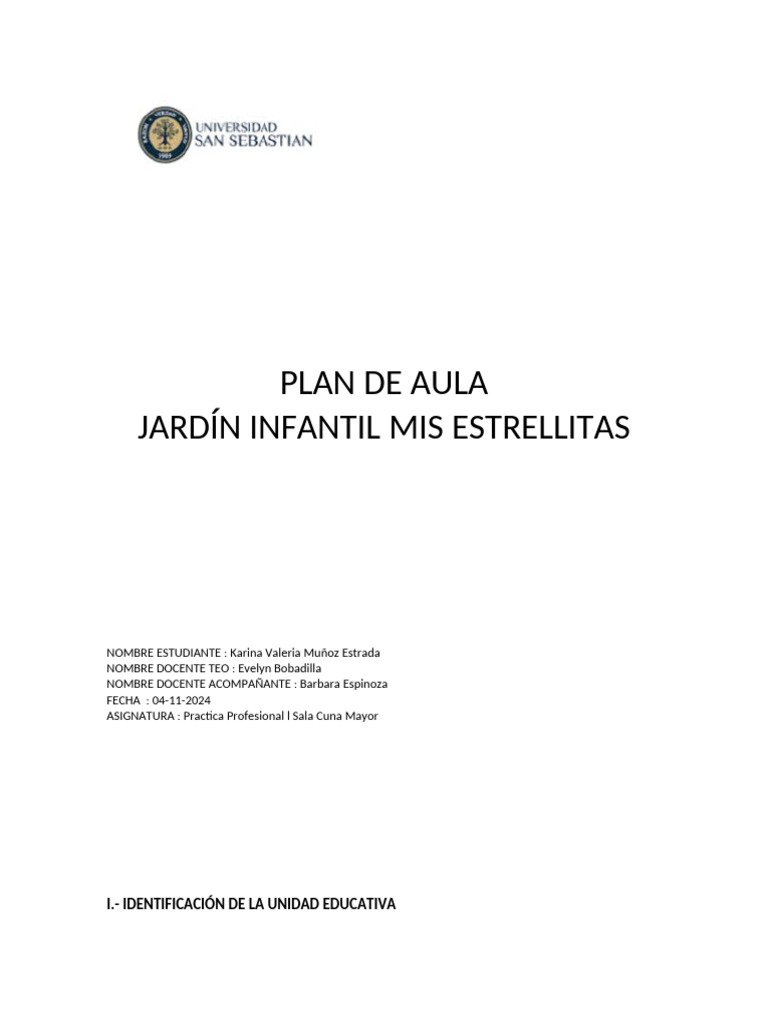 Plan Aula y Planificación Práctica Profesional | PDF | Educación de la primera infancia ...