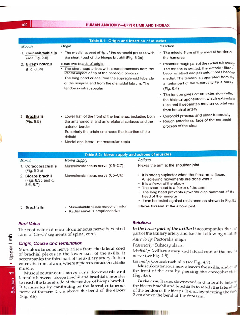 Anatomy Detection | PDF
