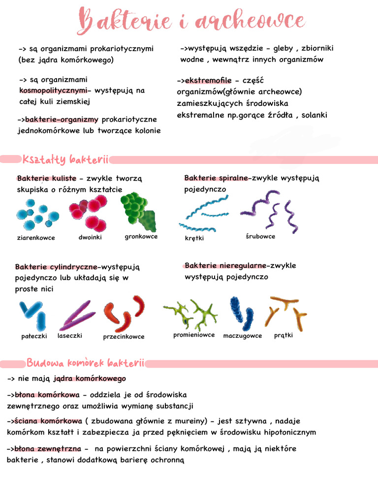 Bakterie I Archeowce | PDF
